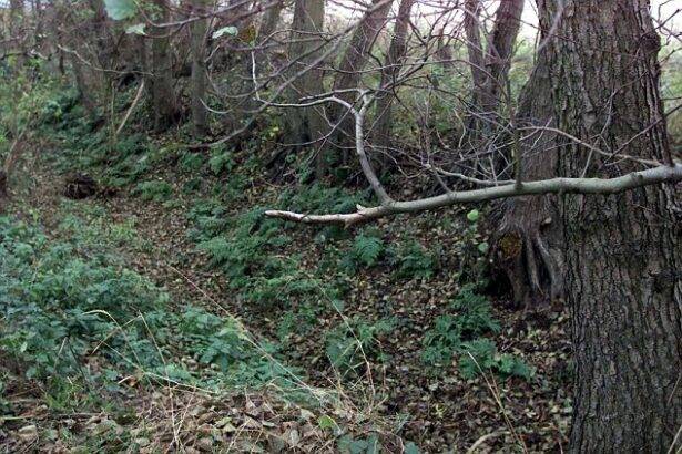 Jessica and Holly's Parents: Were Holly and Jessica Found? Where are ...