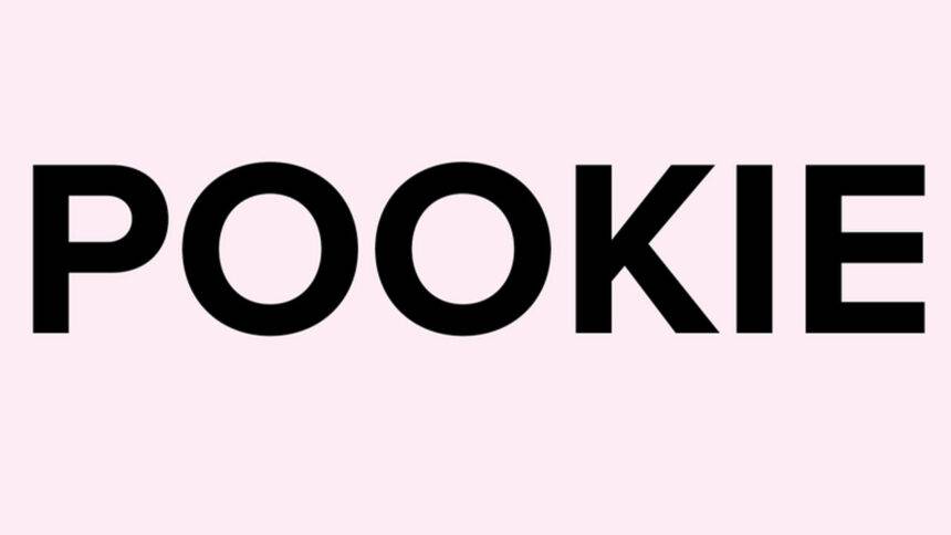 Pookie Slang Meaning: What Does Pookie Mean on TikTok? Know Pookie ...