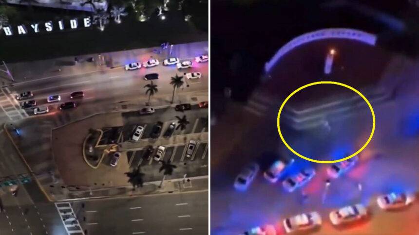 Miami Mall Alien Footage Video: Nephilim Aliens in Miami Mall 2024 ...