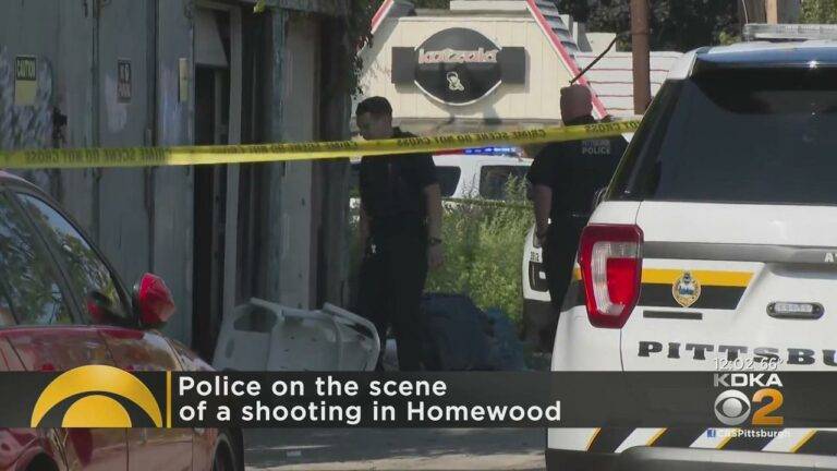 Shooting in Homewood: Shooting Victim Expected to Survive in Placer ...